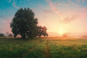 150 Powerful Bible Verses About The Sun KJV