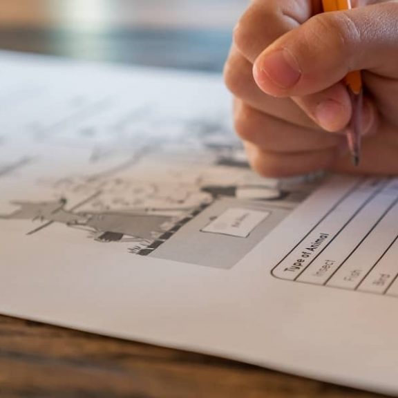 30 Fun Bible Trivia Sunday School Questions and Answers