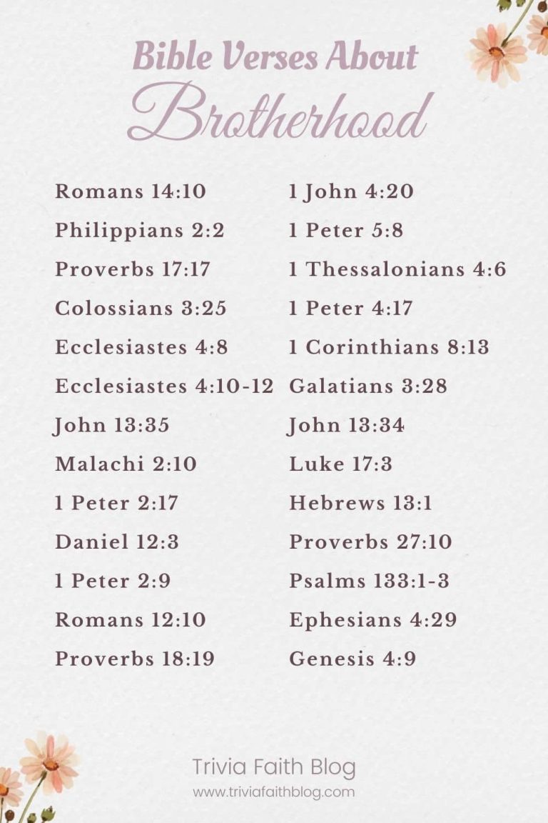 40 Important Bible Verses About Brotherhood KJV
